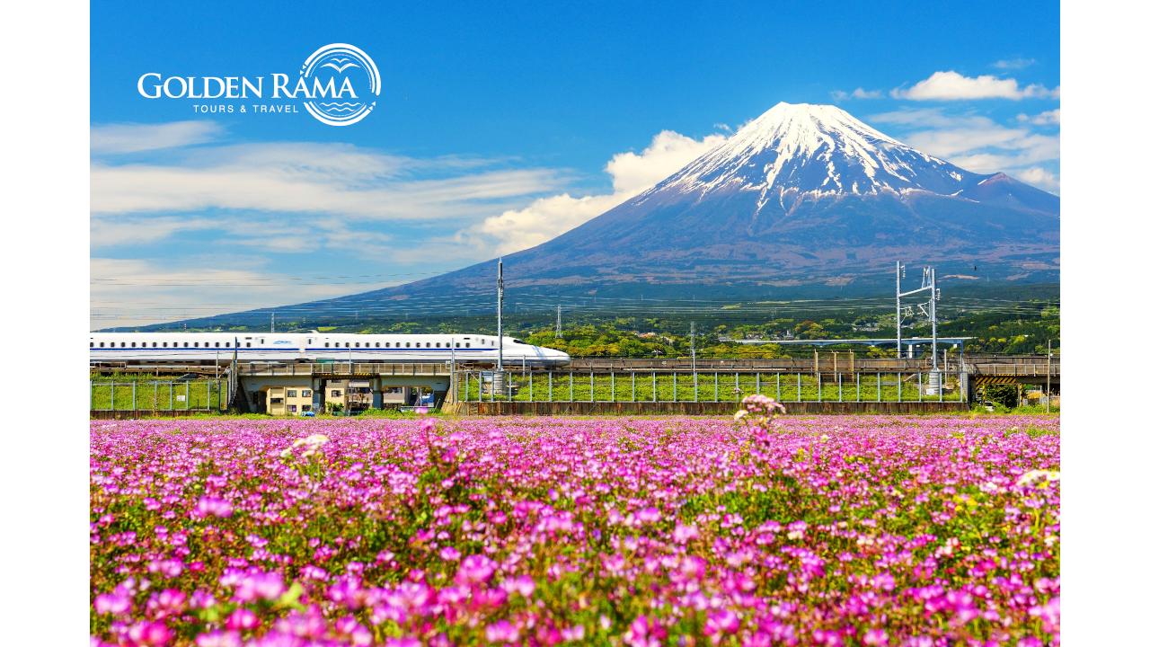Tiket 7H5M Favorite Japan Okujou + Shirakawago & Mt. Fuji oleh Golden ...